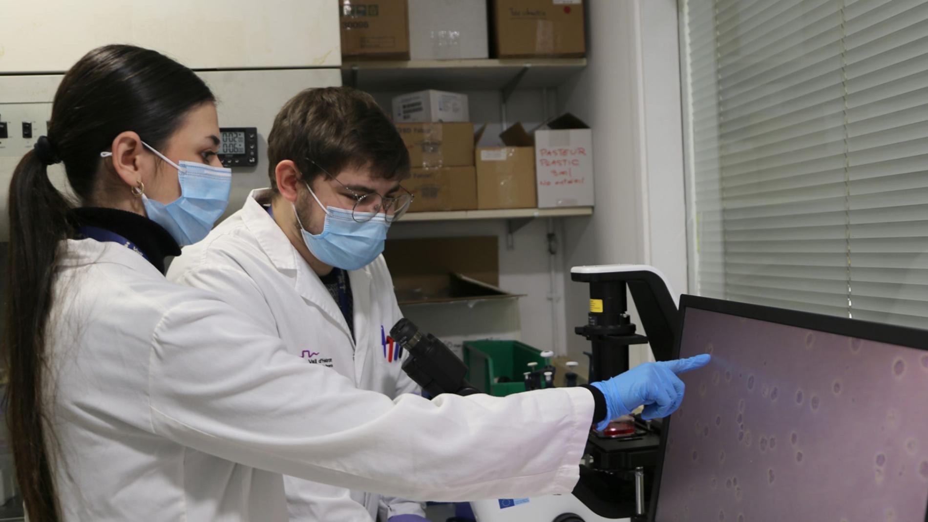 Abierta la preinscripción a la 10a edición del Máster en Investigación ...