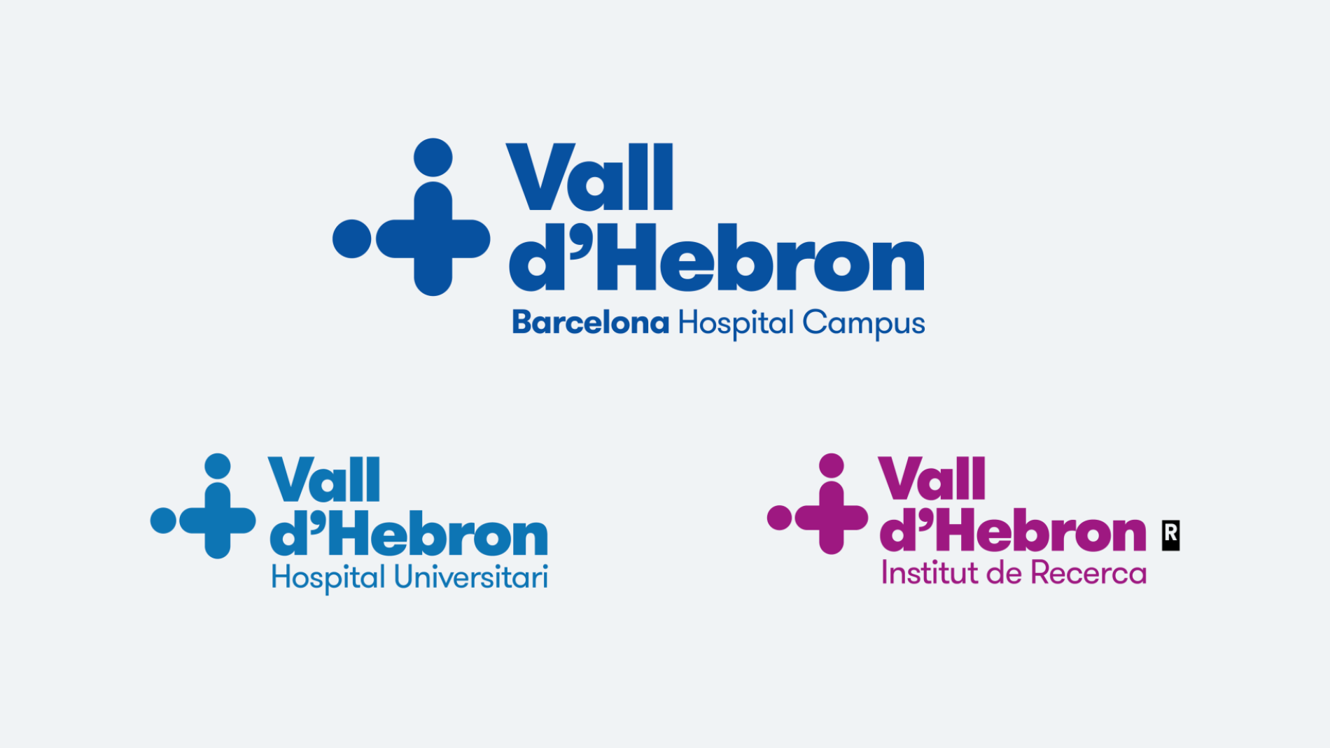 Vall d’Hebron rediseña su marca para armonizar los logotipos de Campus ...